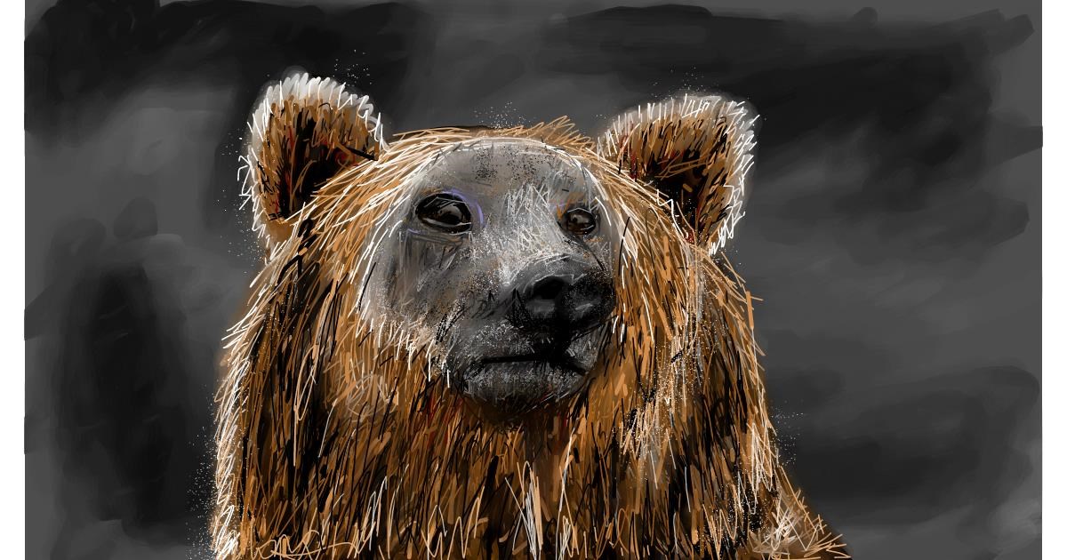 Watch Mia draw Bear!