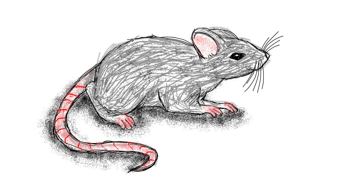 Watch cryinqpois0n draw Mouse!