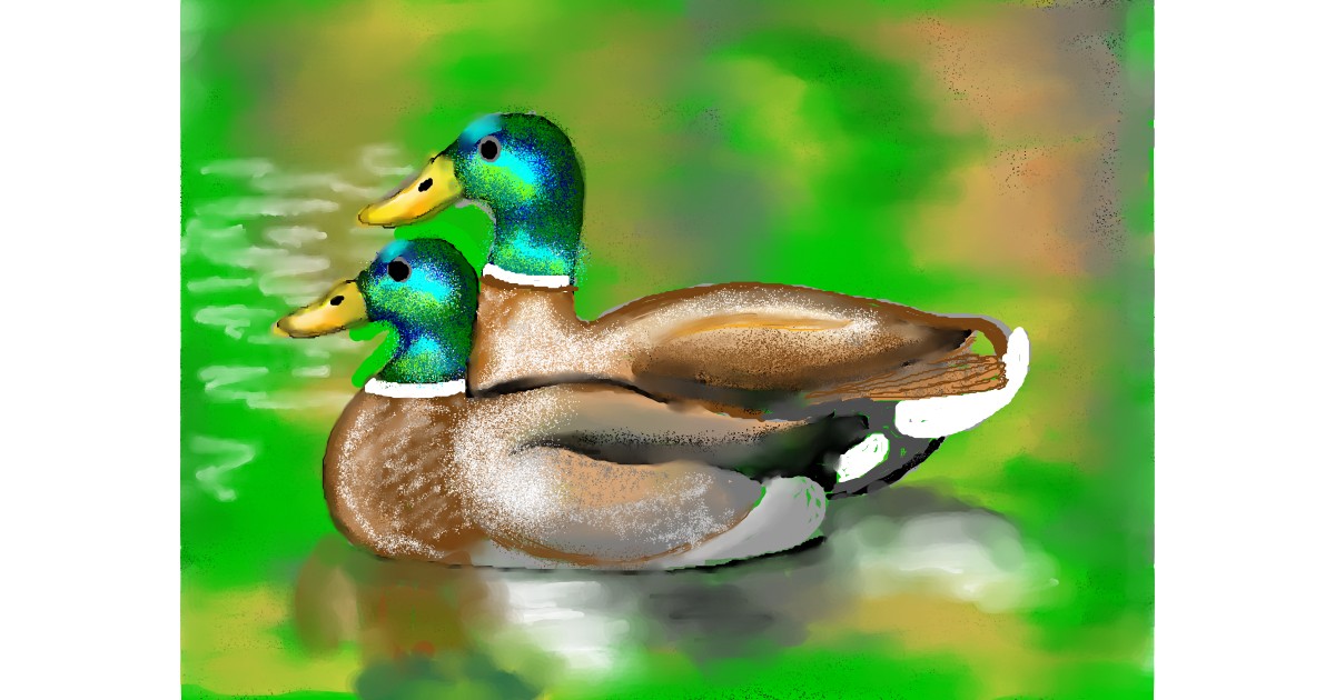 Watch SAM AKA MARGARET draw Duck!
