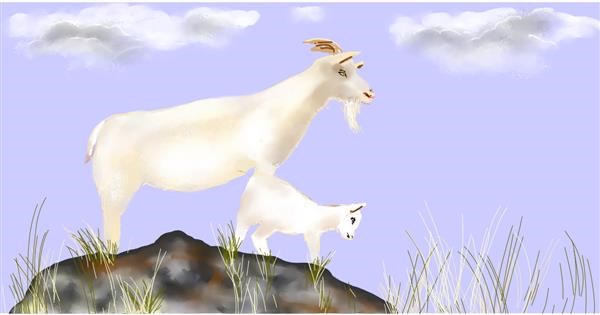 Drawing of Goat by Eclat de Lune - Drawize Gallery!
