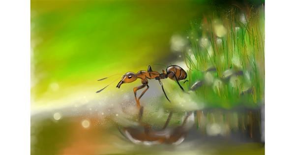 Mrav - crteži: Galerija i upute za crtanje