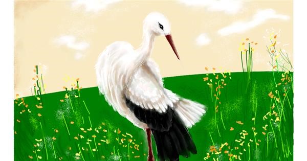 Stork Drawing - Gallery and How to Draw Videos!