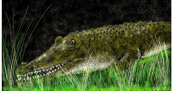 Drawing of Alligator by Eclat de Lune - Drawize Gallery!