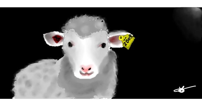 Ovca - crtež od autora: TidoudouMlesfrites - Drawize galerija!