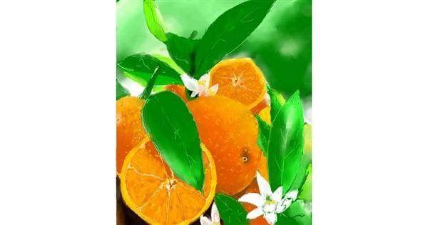 Drawing of Orange by Bugoy - Drawize Gallery!