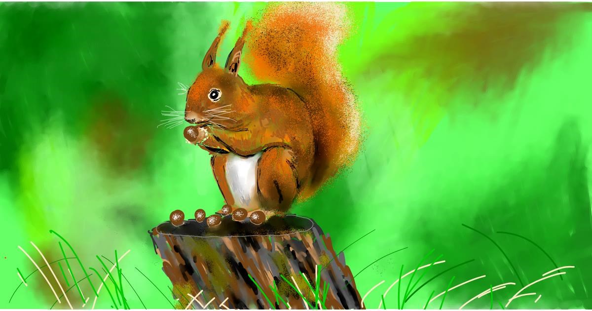 How To Draw A Cartoon Squirrel How To Draw A Squirrel: Easy, Cartoon