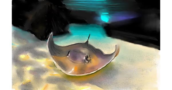Stingray Drawing - Gallery and How to Draw Videos!