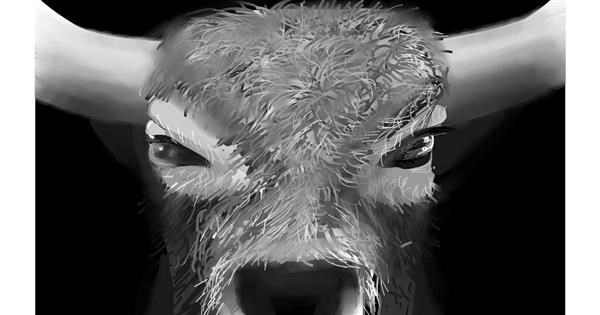 Drawing of Bull by Niny - Drawize Gallery!