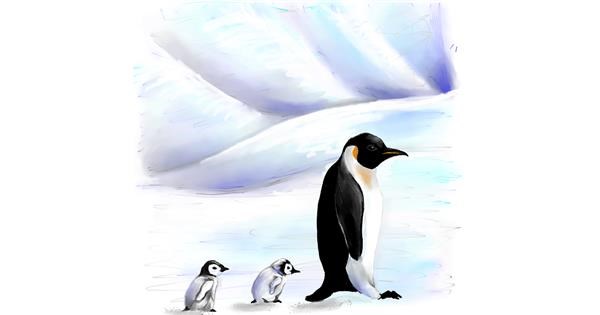 Drawing of Penguin by Andromeda - Drawize Gallery!