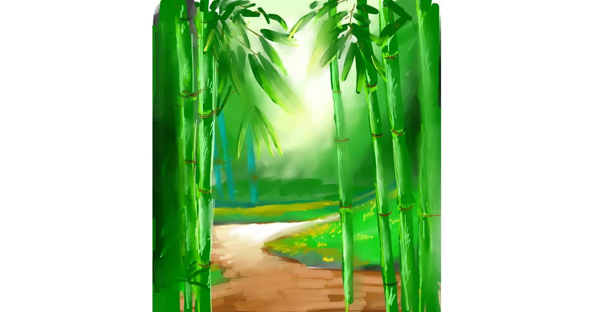 Bamboo Drawing - Gallery and How to Draw Videos!