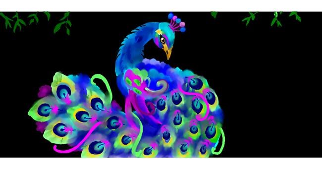 Paun - crtež od autora: Kim - Drawize galerija!