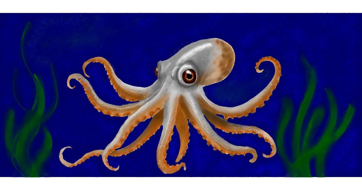Watch Annie draw Octopus!