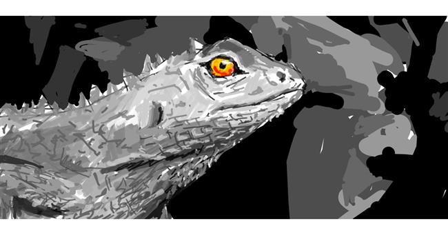 Drawing of Lizard by Logan - Drawize Gallery!
