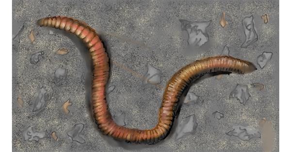 Drawing of Worm by SAM AKA MARGARET - Drawize Gallery!