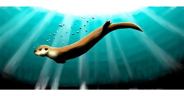 Otter Drawing - Gallery and How to Draw Videos!