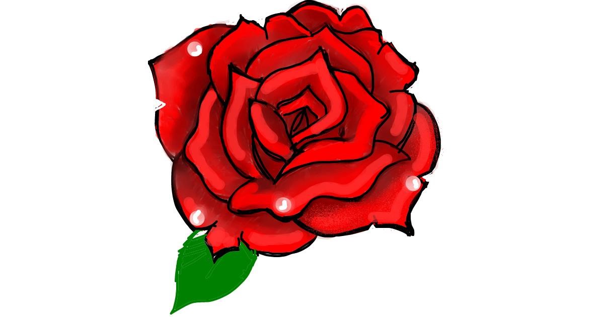 Pogledajte kako Bri crta Ruža!