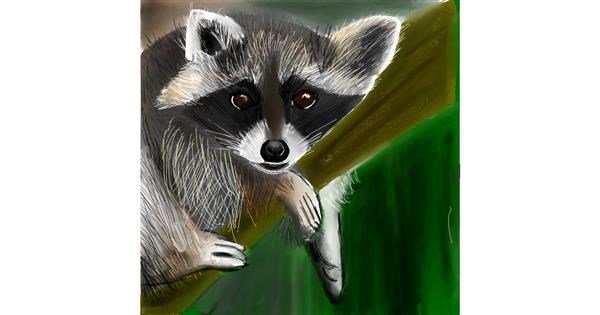 Rakun - crtež od autora: Lou - Drawize galerija!