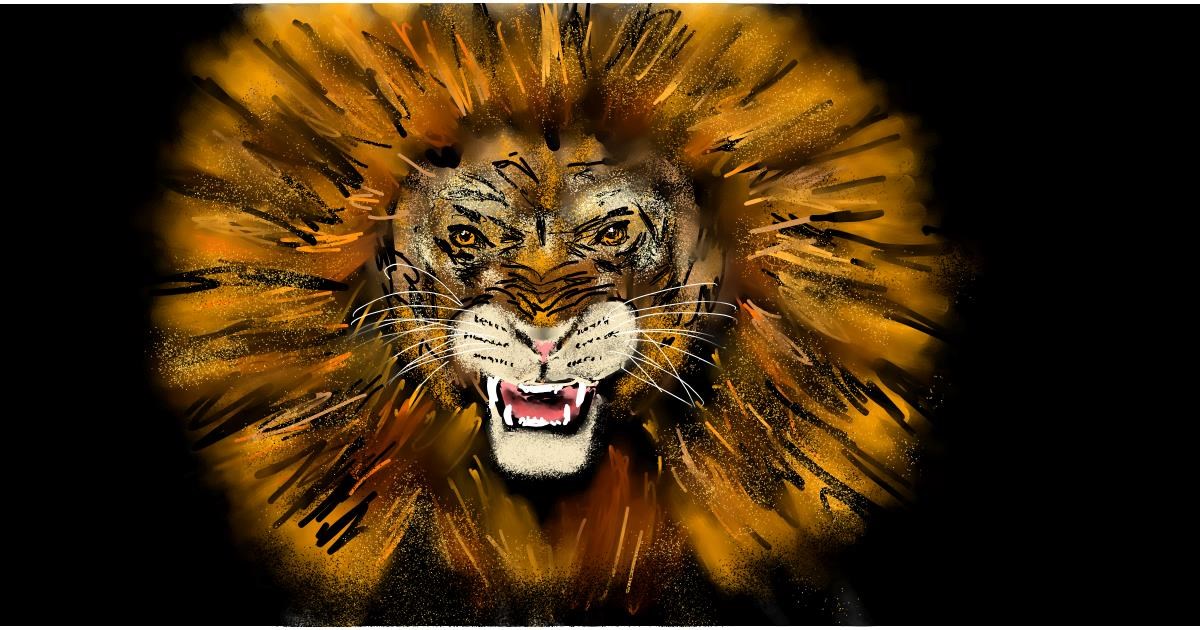 Lion Drawing - Gallery and How to Draw Videos!