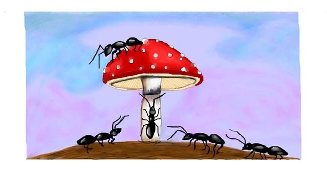 Drawing of Ant by DebbyLee - Drawize Gallery!