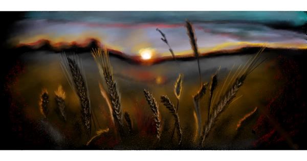 Wheat Drawing - Gallery and How to Draw Videos!
