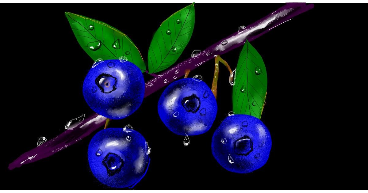 Blueberry Drawing - Gallery and How to Draw Videos!
