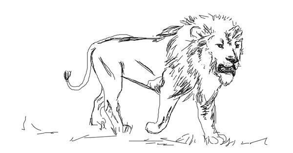 Drawing of Lion by Your Elbow - Drawize Gallery!