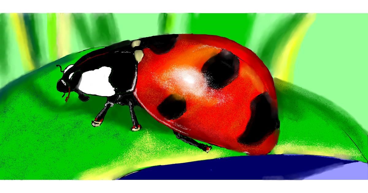 Watch Kim draw Ladybug!