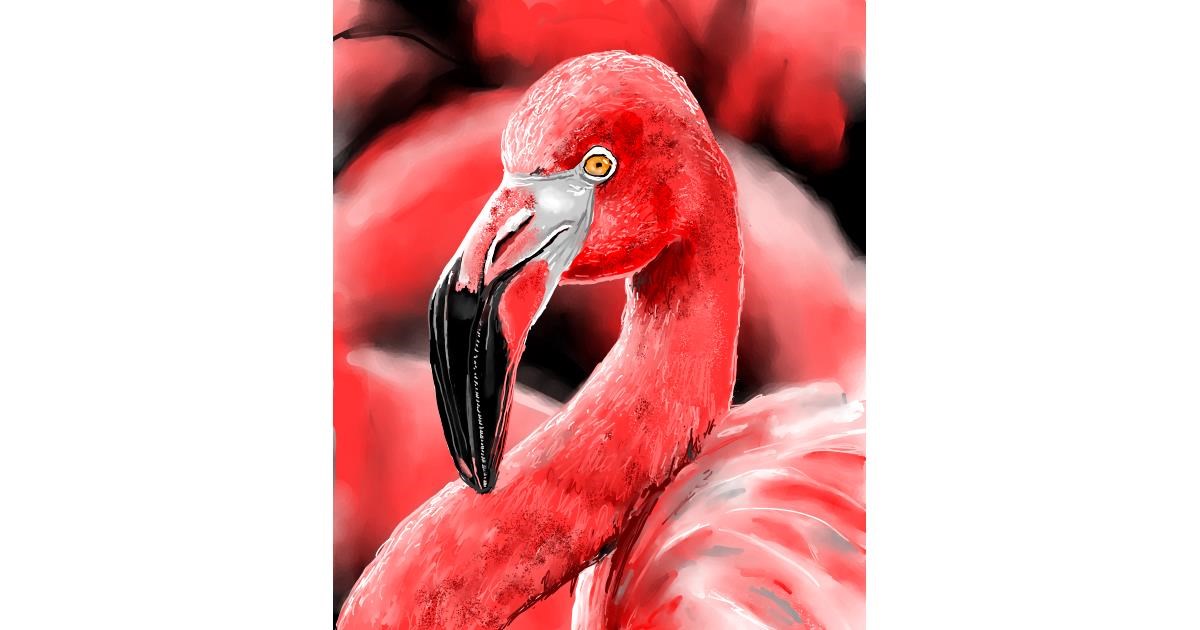 Watch Яandi draw Flamingo!