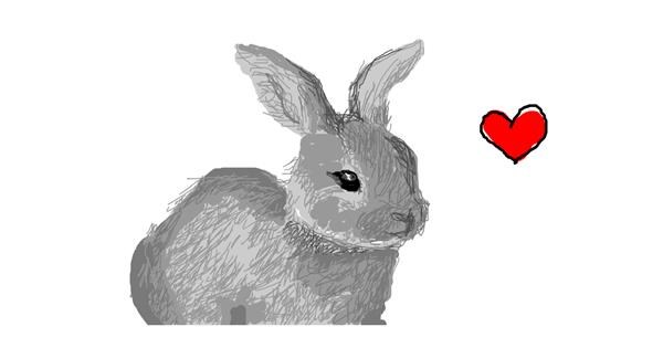 Drawing of Bunny by JQ - Drawize Gallery!