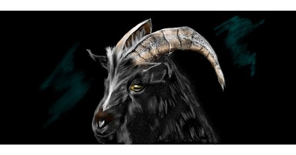 Drawing of Goat by Chaching - Drawize Gallery!