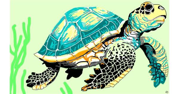 Drawing of Sea turtle by flowerpot - Drawize Gallery!