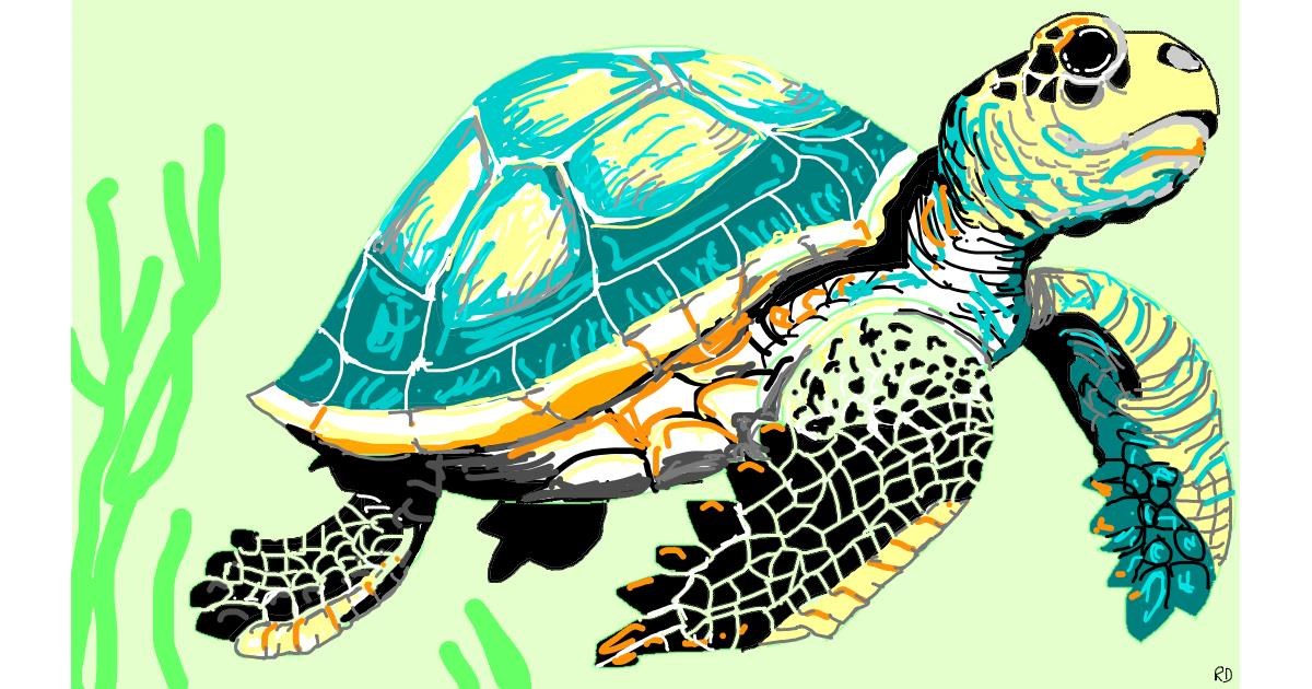 Watch flowerpot draw Sea turtle!