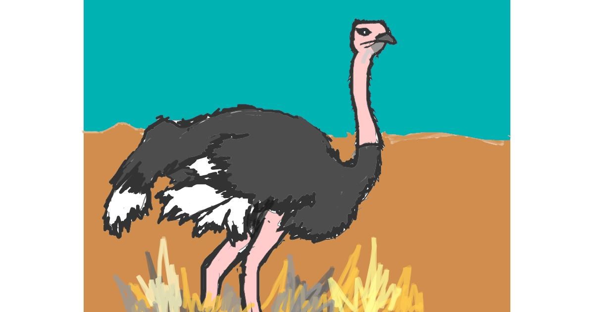Watch Vicki draw Ostrich!
