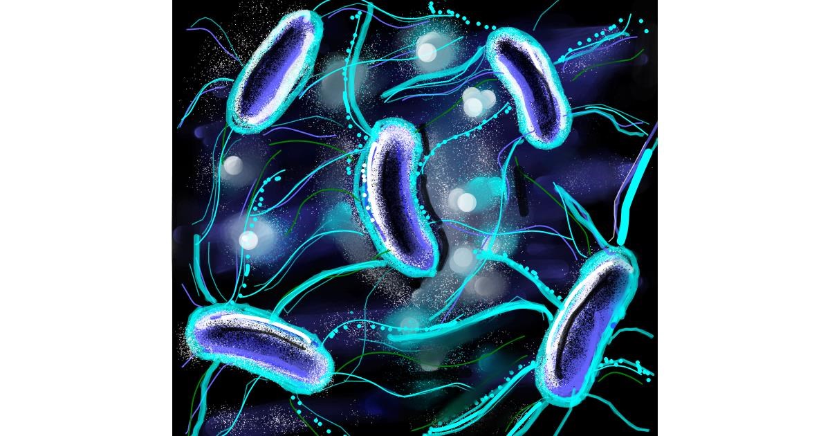 Watch Dream draw Bacteria!