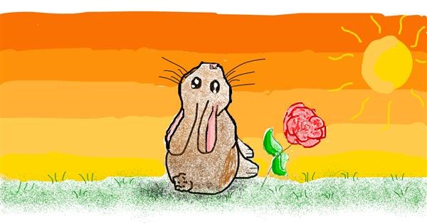 Drawing of Rabbit by coconut - Drawize Gallery!