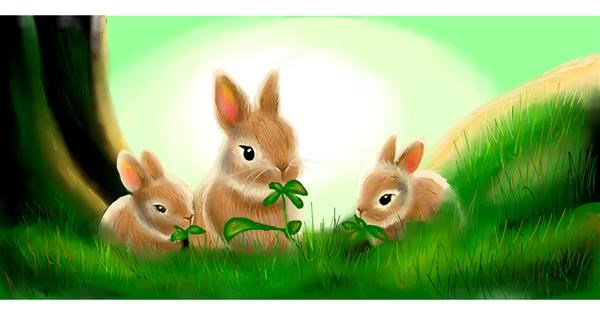 Rabbit Drawing - Gallery and How to Draw Videos!