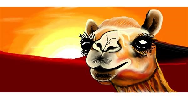 Drawing of Camel by Sumafela - Drawize Gallery!