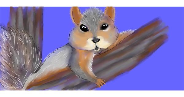 Drawing of Squirrel by DebbyLee - Drawize Gallery!