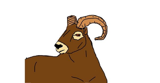 Drawing of Goat by Pennywise - Drawize Gallery!