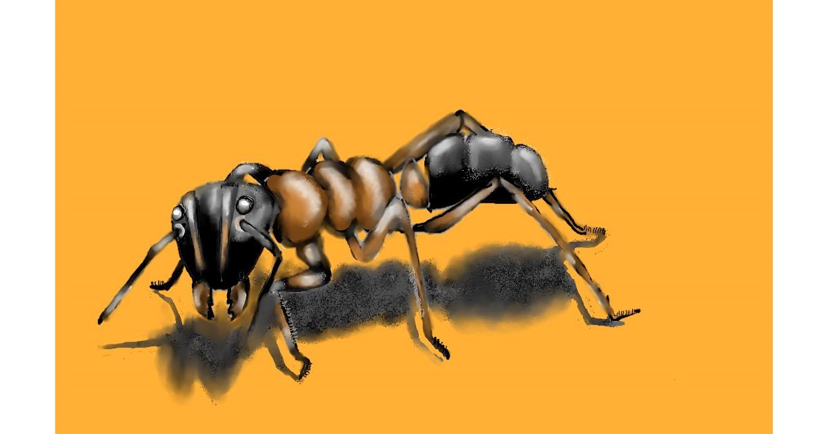 Mrav - crtež od autora: SAM AKA MARGARET - Drawize galerija!