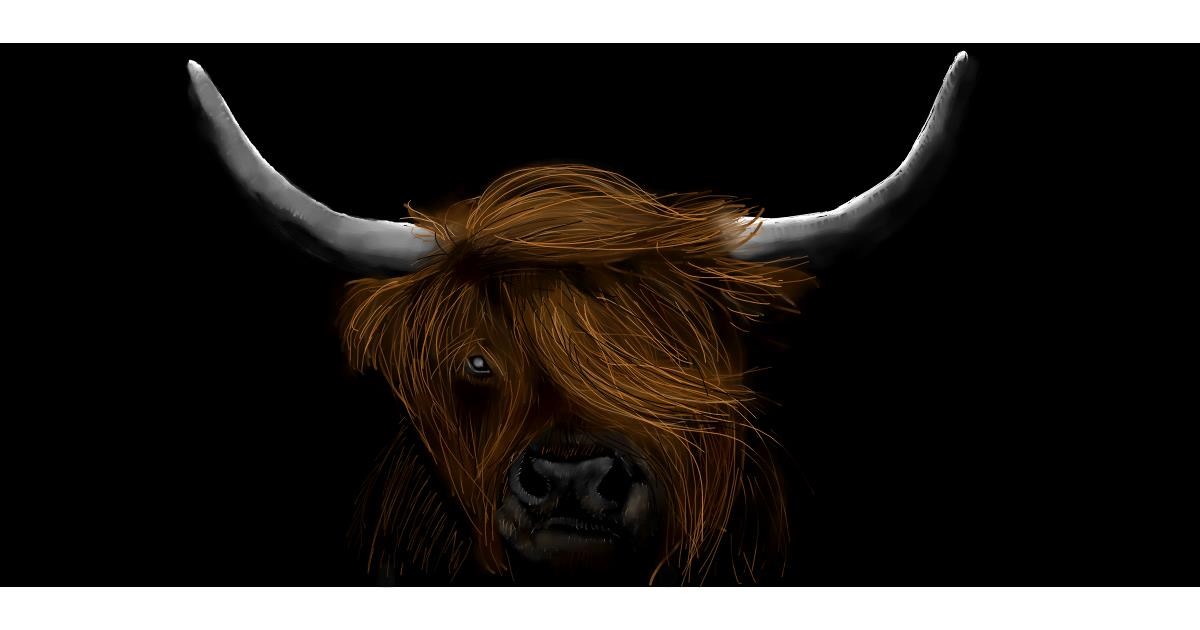 Watch Luna draw Bison!