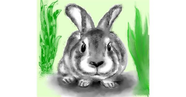 Drawing of Rabbit by Dexl - Drawize Gallery!