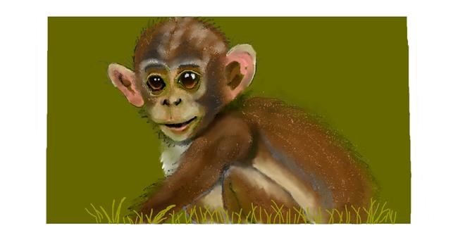 Drawing of Monkey by DebbyLee - Drawize Gallery!