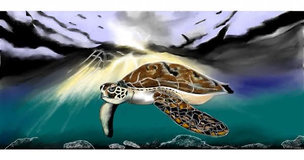 Drawing of Sea turtle by Chaching - Drawize Gallery!