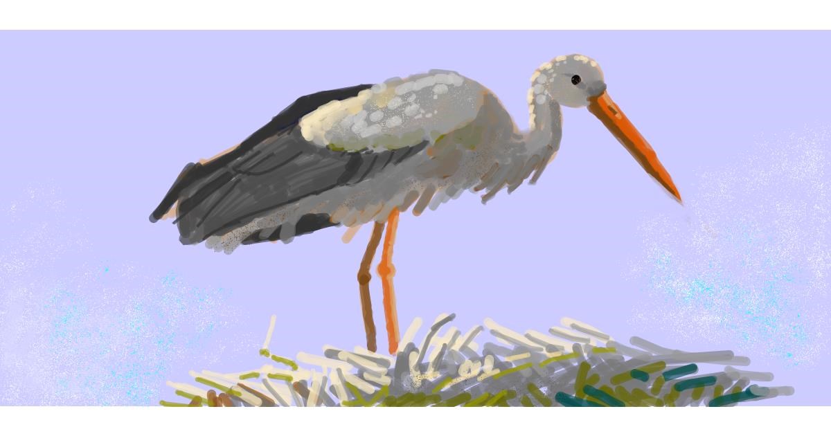 Watch Женя draw Stork!