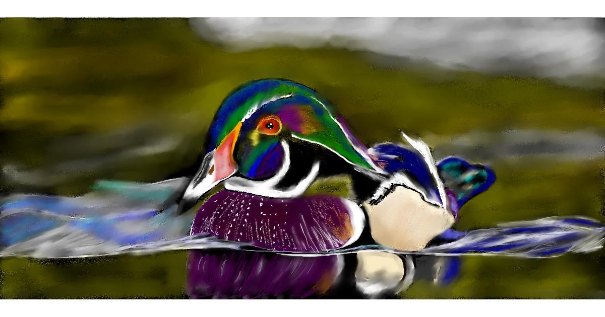 Watch Chaching draw Duck!