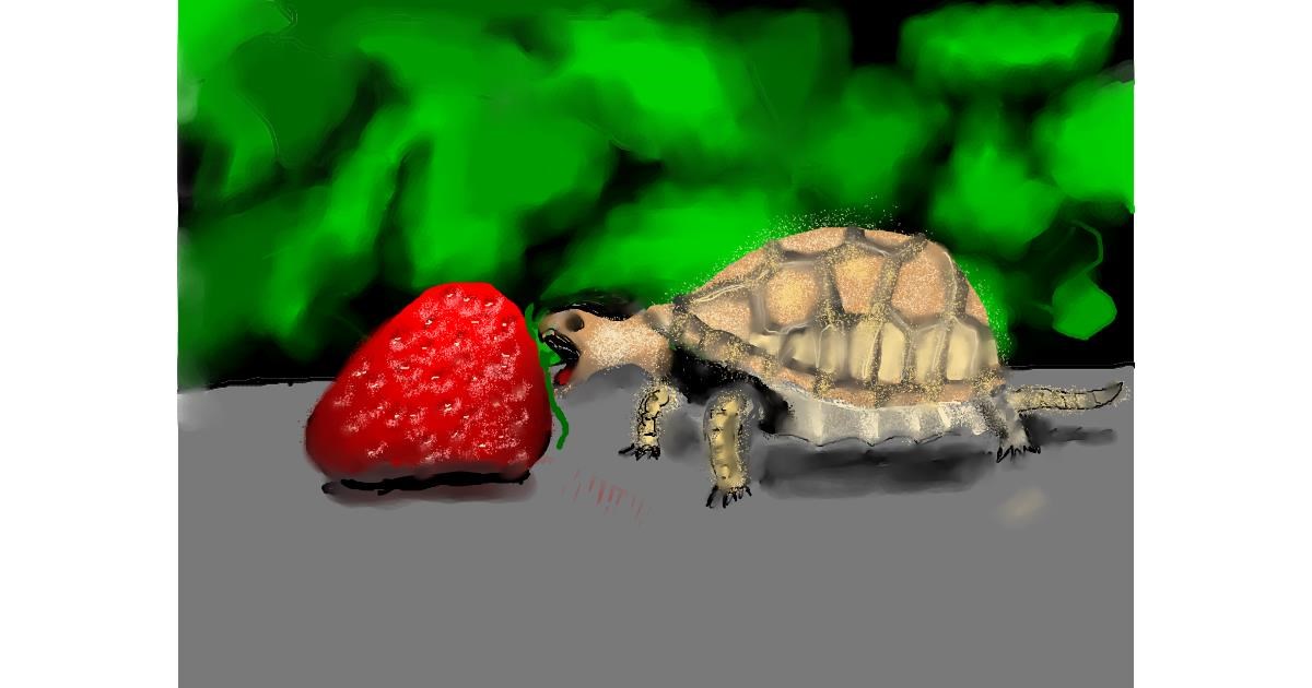 Watch SAM AKA MARGARET draw Tortoise!