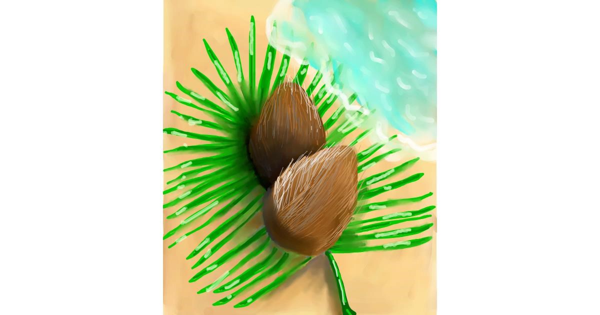 Watch Lovecatx gbsct draw Coconut!