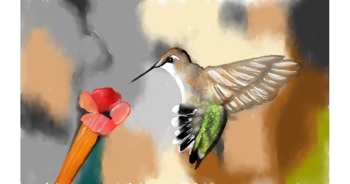 Watch Tim draw Hummingbird!