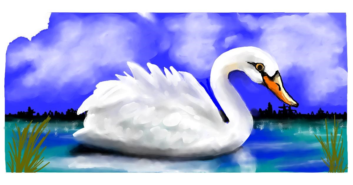 Watch justme ️ draw Swan!